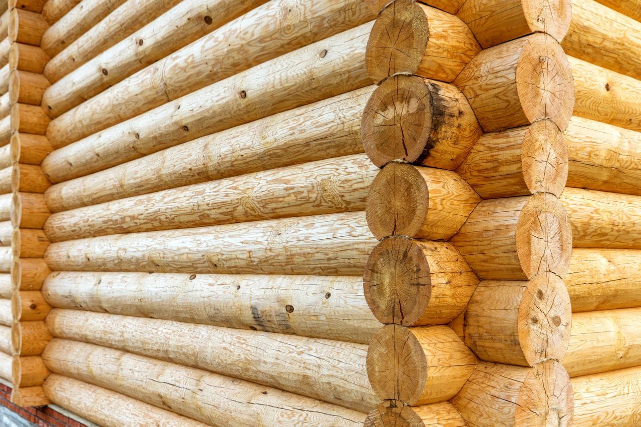 Construire une maison en rondin de bois : une Fuste ! - ETD Guide