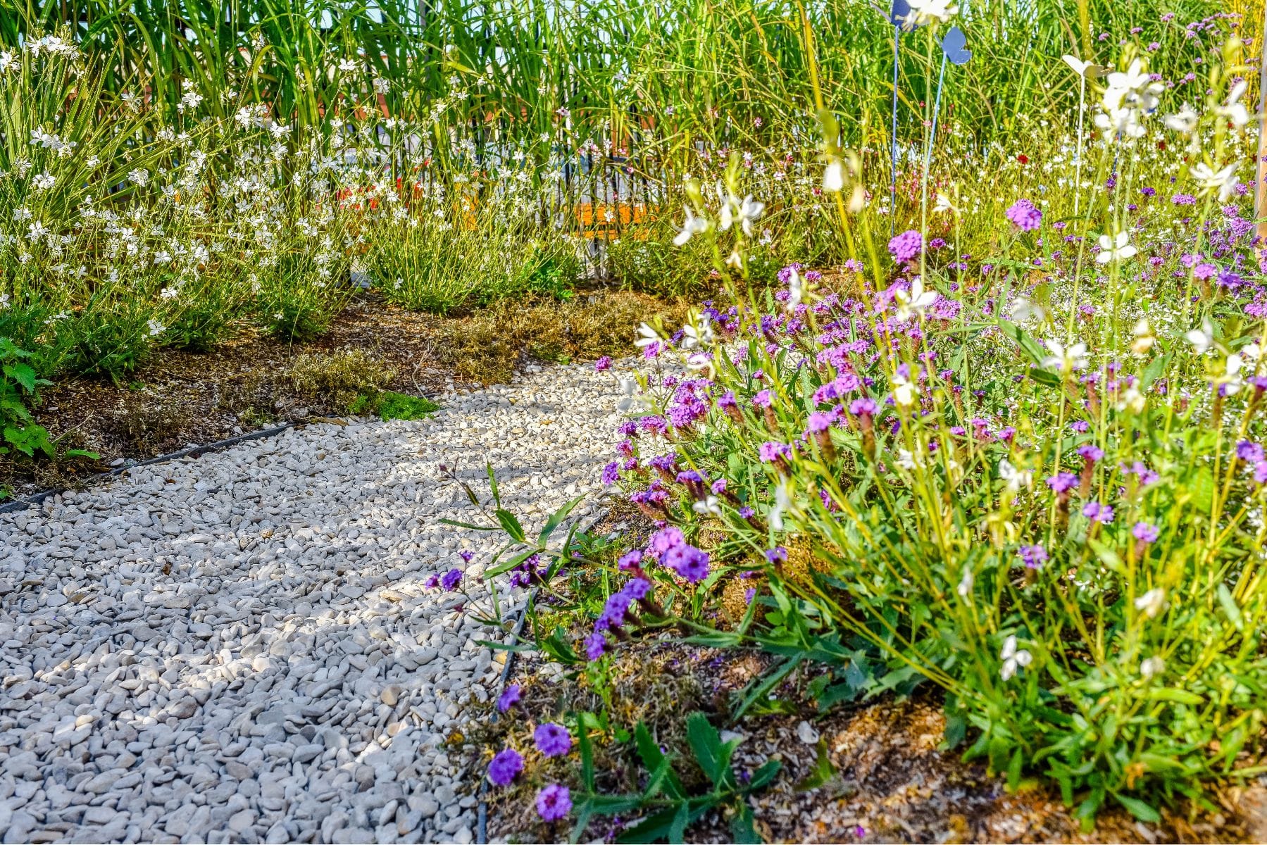 Quel gravier pour faire une allée ? - ETD Guide